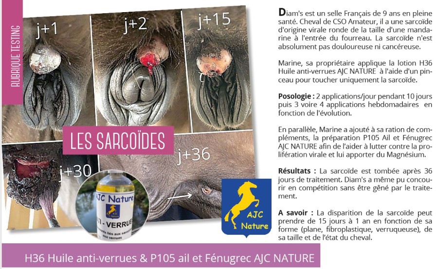 Sarco de Et Verrue Du Cheval Traitement Naturel Efficace Et D finitif sarco-de-et-verrue-du-cheval-traitement-naturel-efficace-et-d-finitif